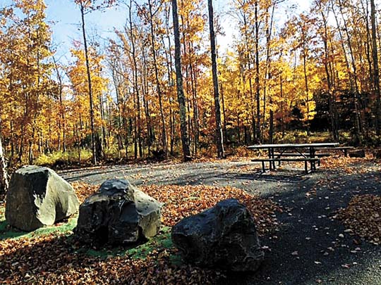 First phase of improvements done for Point Abbaye park | News, Sports ...